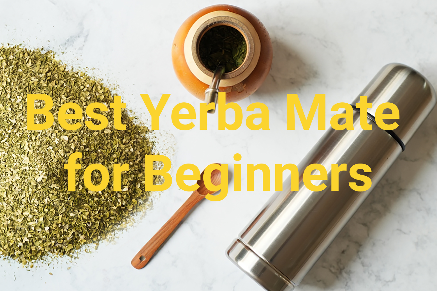 Best Yerba Mate for Beginners: Start Your Mate Journey the Right Way ...
